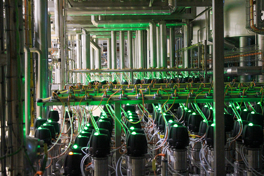 Innocent Drinks de Blender - VMA